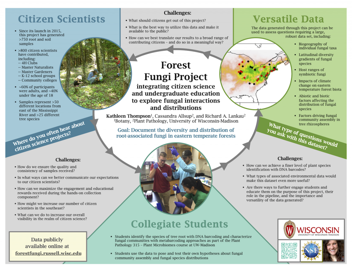 About – Forest Fungi Project